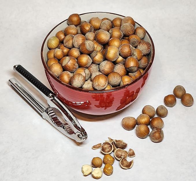 Amazon.com : Hazelnuts in shell grown in our family's orchard in ...