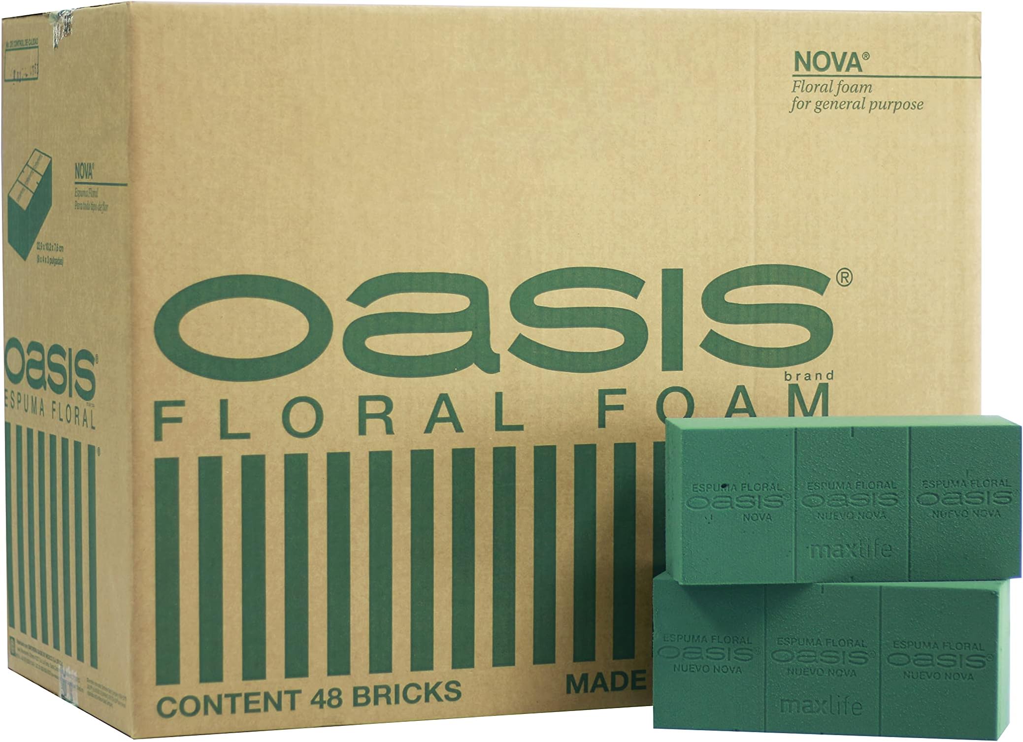 Espuma Floral OASIS Nova - para cualquier tallo o manualidad - caja con 48 piezas : Amazon.com ...