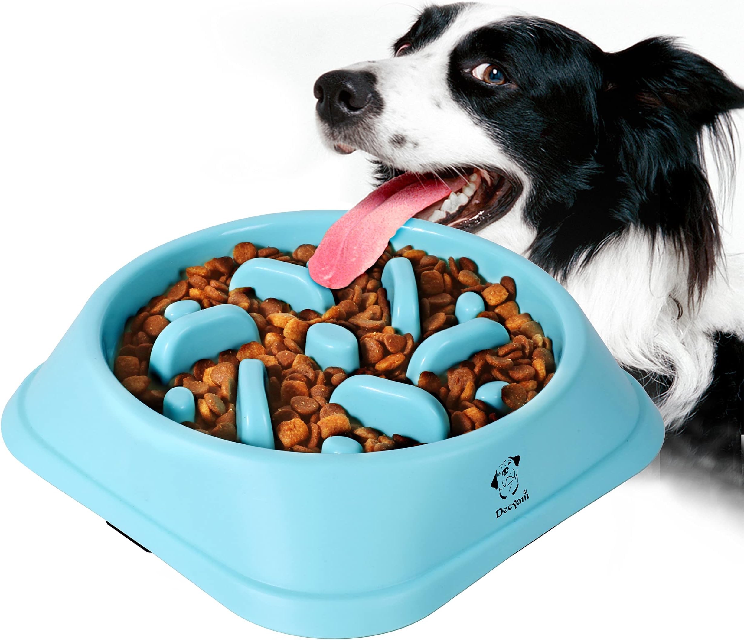 Dog Food Bowls To Prevent Bloat at Marcus Lewis blog