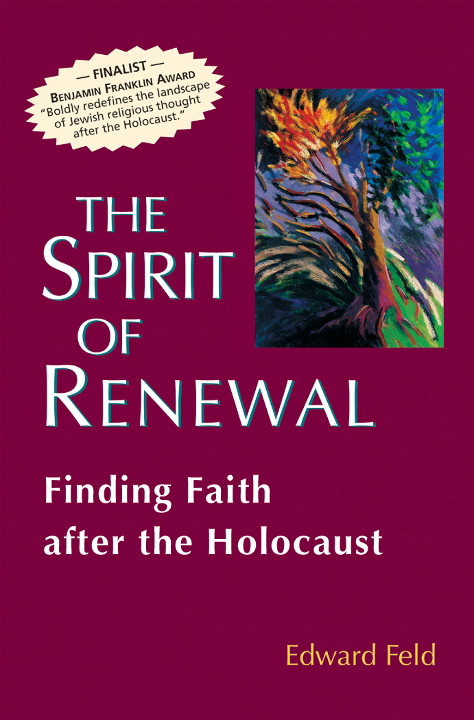 The Spirit of Renewal: Finding Faith after the Holocaust: Feld, Rabbi ...