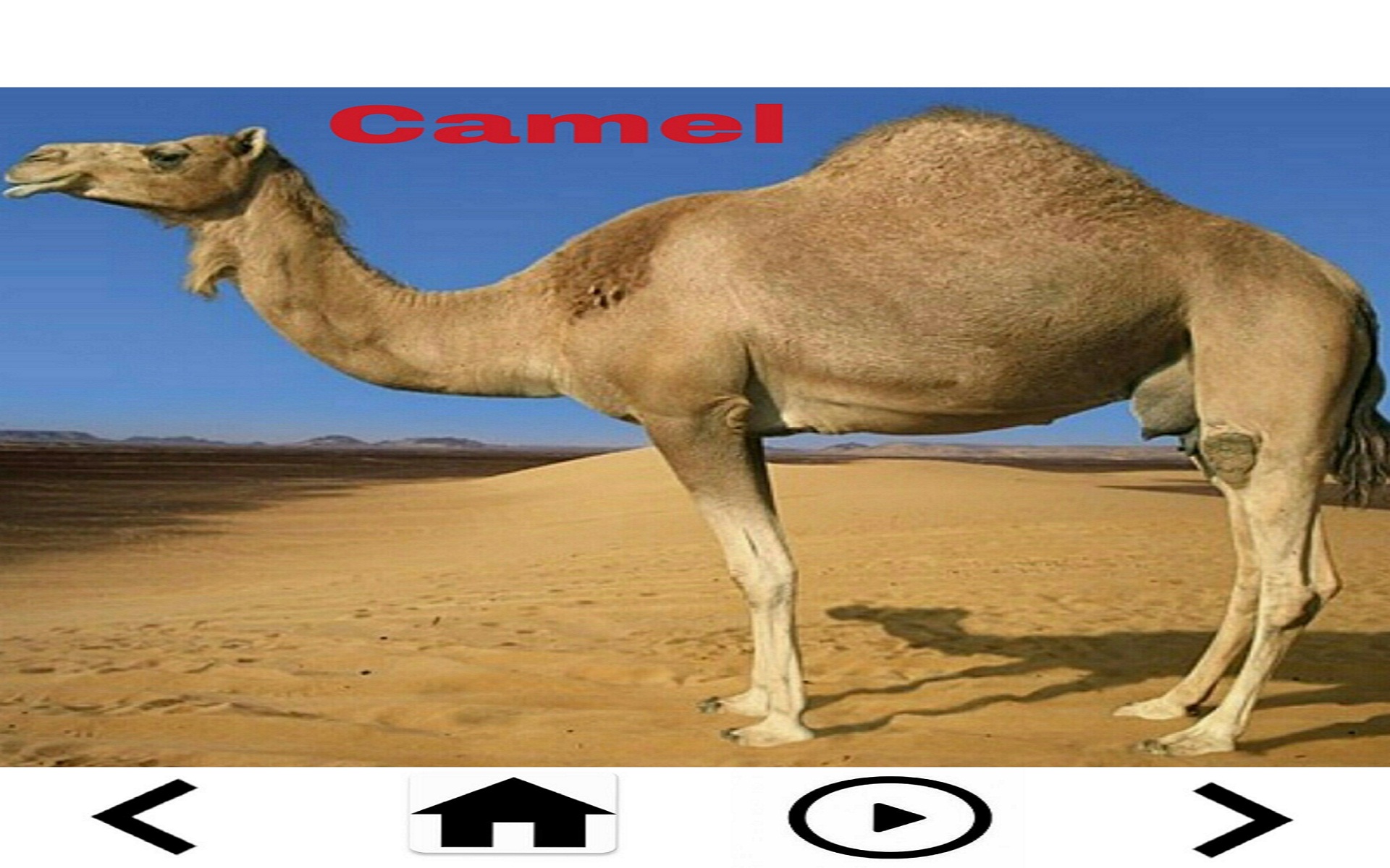 Preschool-Toddler Kids-Baby Educational Learning Games App: Learn All ...