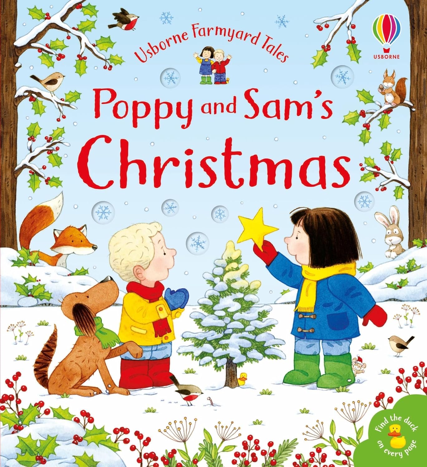 Poppy and Sam's Christmas (Farmyard Tales Poppy and Sam): Taplin, Sam ...