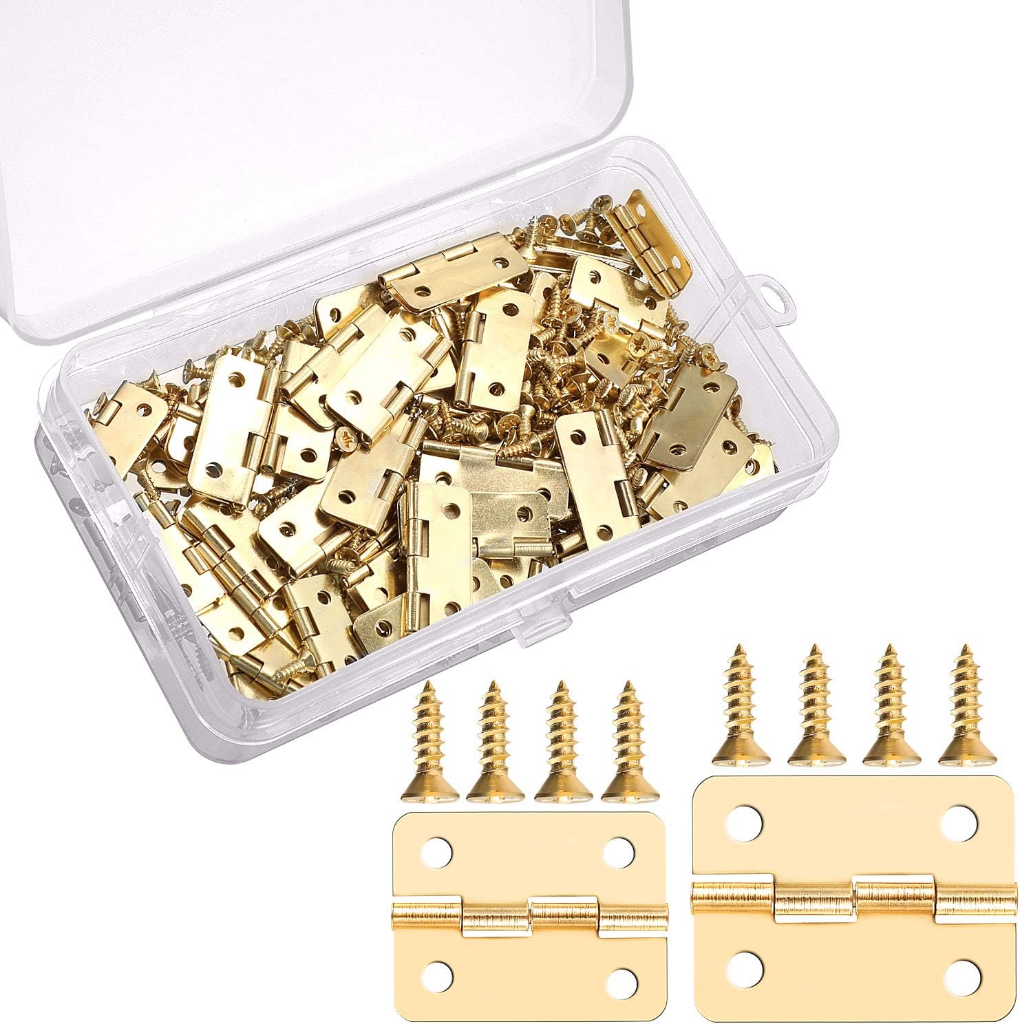 Hicarer 60 Pieces Small Hinges Retro Decorative Mini Hinges and 300 ...