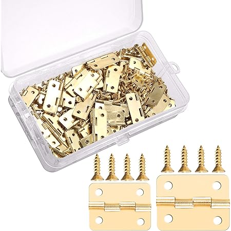 Brass Hinges Mcredy Box Hinge Gold Small Brass Hinges with Mounting ...