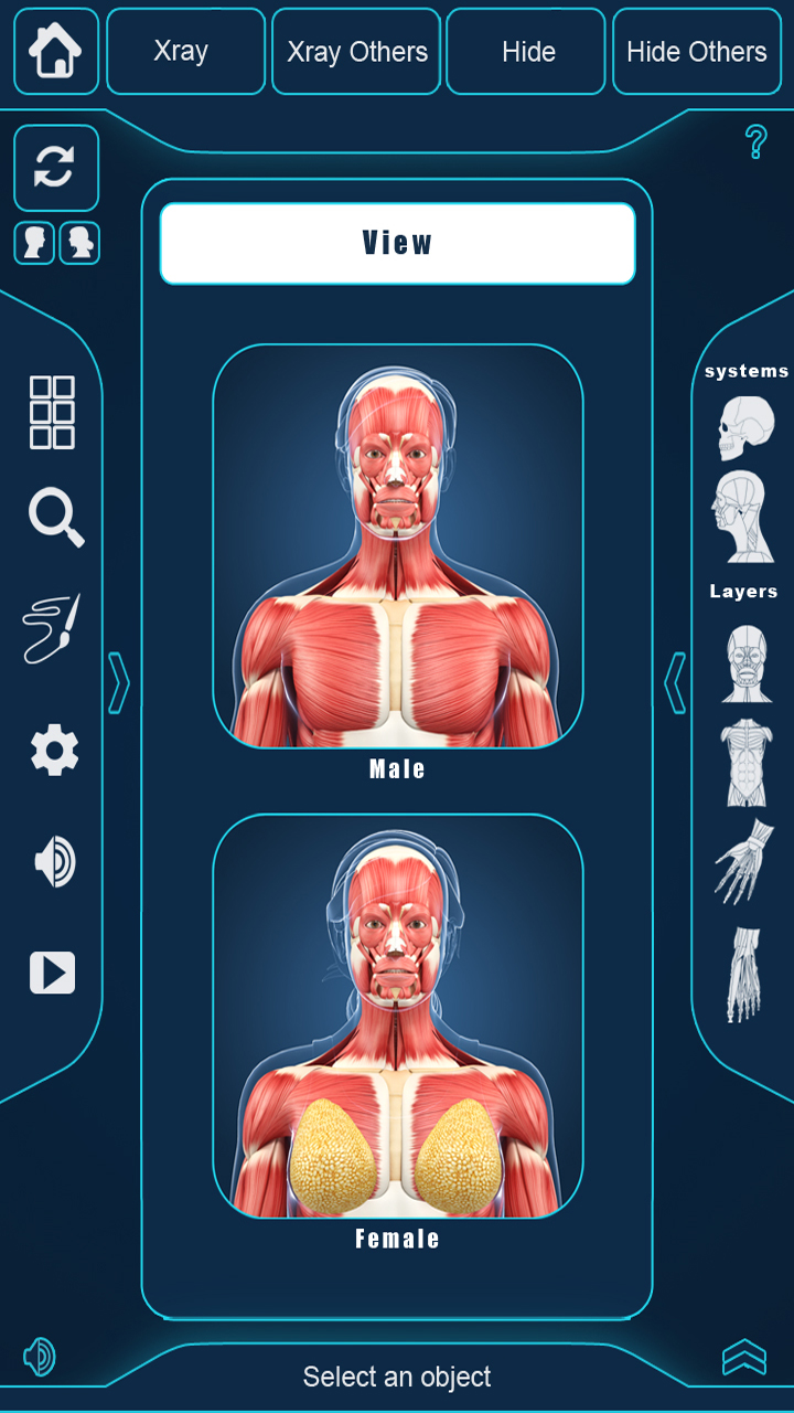 Muscle Anatomy Pro. - App on Amazon Appstore
