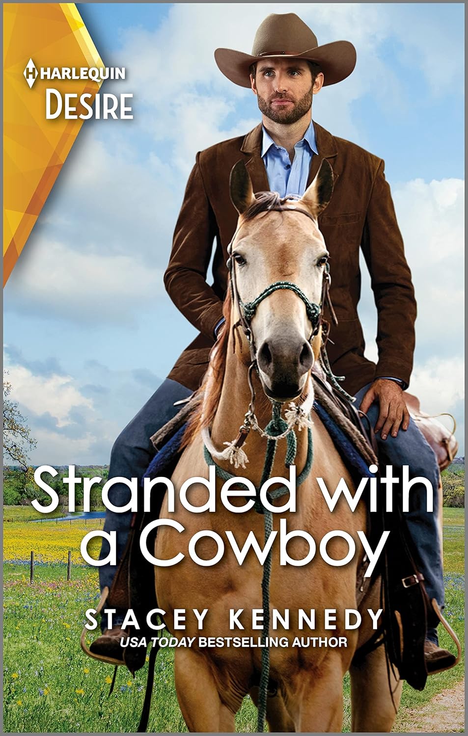 Stranded with a Cowboy: A Steamy Western Romance (Devil's Bluffs Book 2 ...