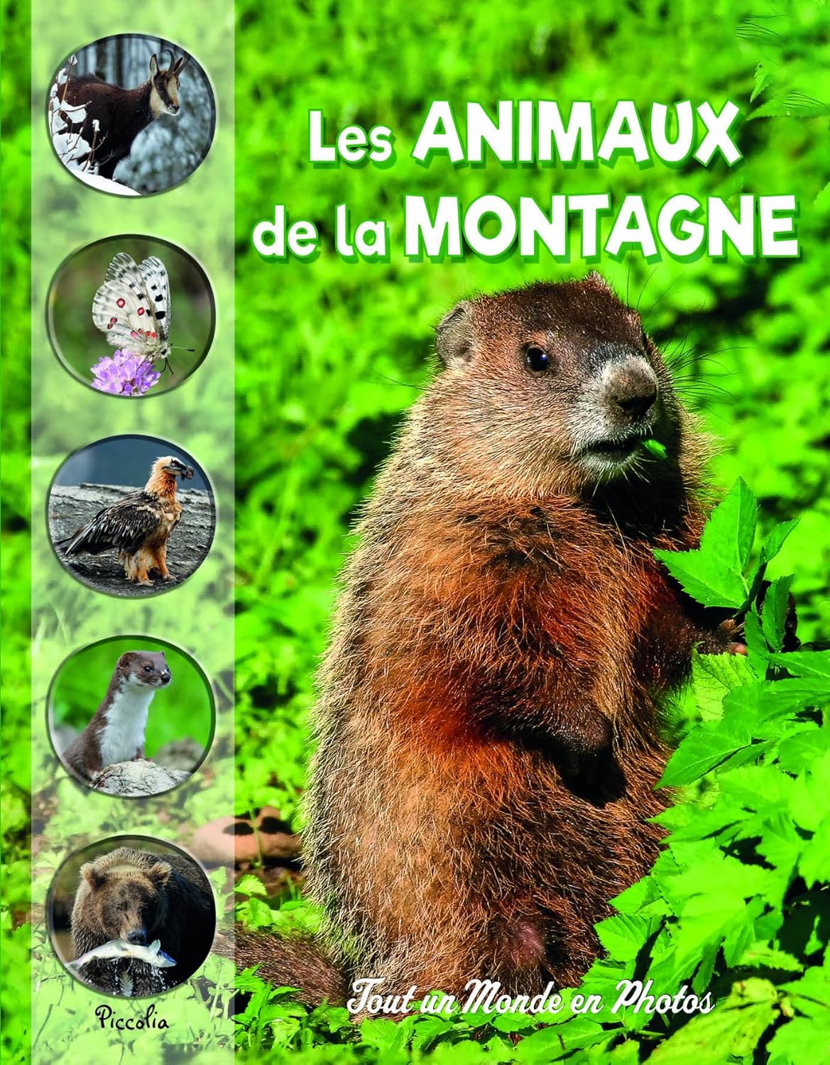 Amazon.com: Les animaux de montagne: 9782753077140: Collectif: Books