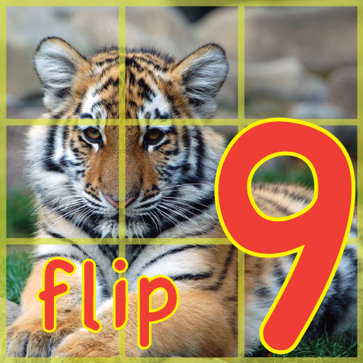 flip 9 Picture Puzzle for Kids - App on Amazon Appstore