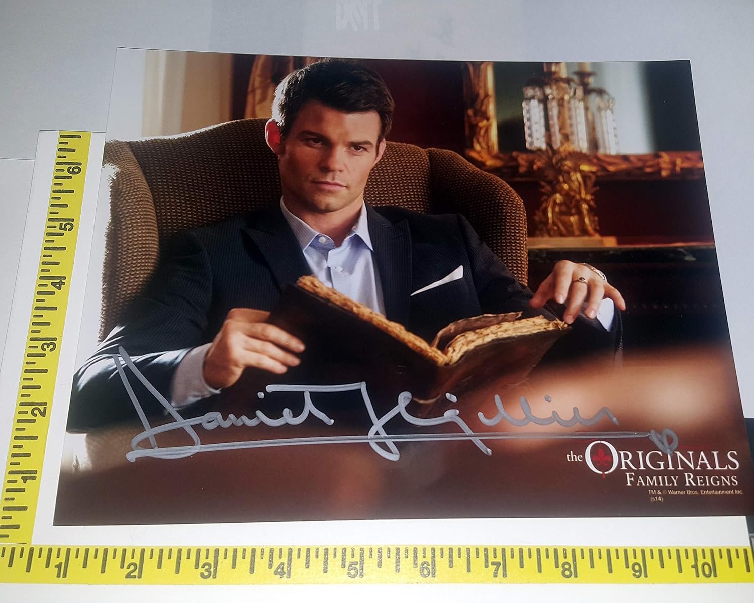 Amazon.com: Daniel Gillies (Elijah Mikaelson) 8 x 10 AUTOGRAPH Photo ...