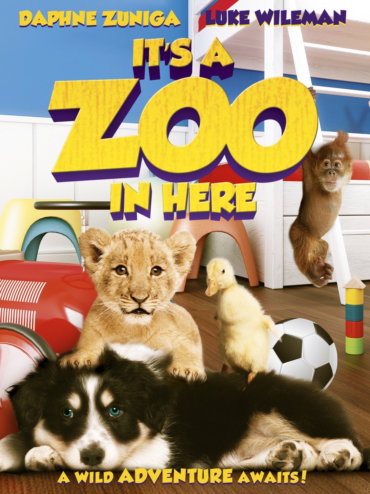 Amazon.com: It's a Zoo in Here : Daphne Zuniga, Luke Wilman, Keith ...