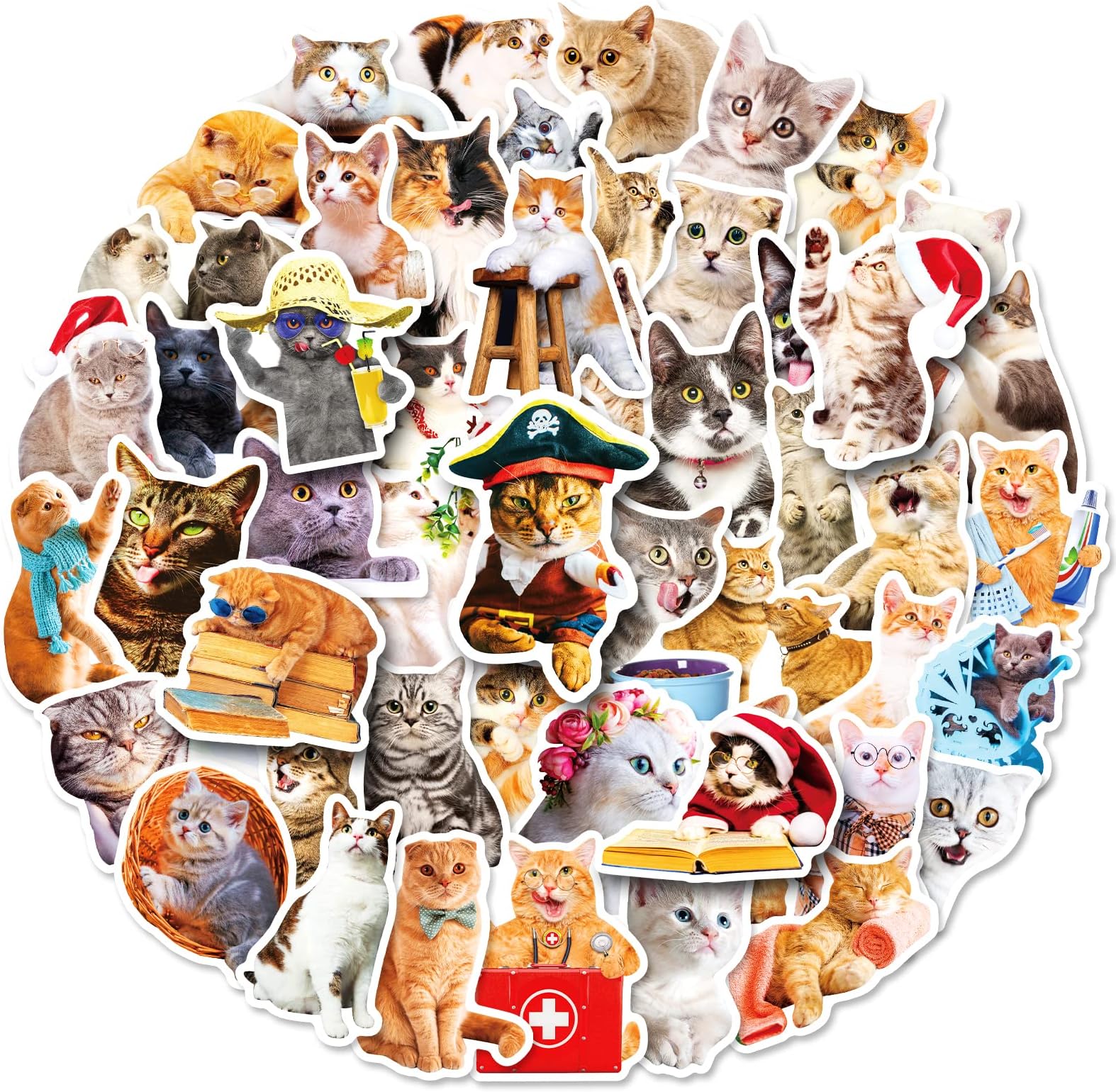 Amazon.com: 50 Pack Cat Stickers Bulk Funny Cute Kawaii Cool Cats ...