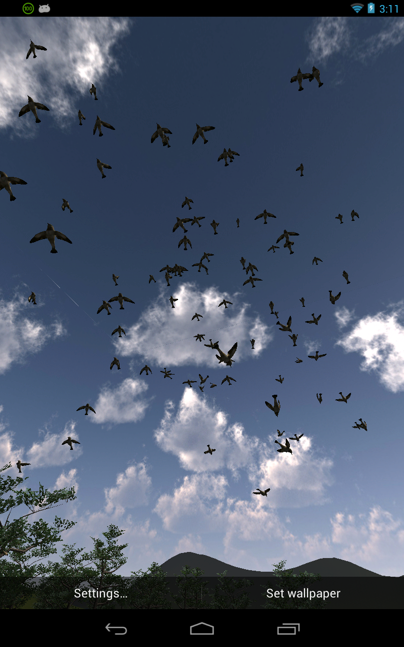 Bird Flight Live Wallpaper - App on Amazon Appstore