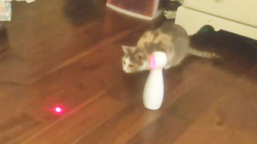 Watch Bolt Automatic Interactive Laser Cat Toy on Amazon Live