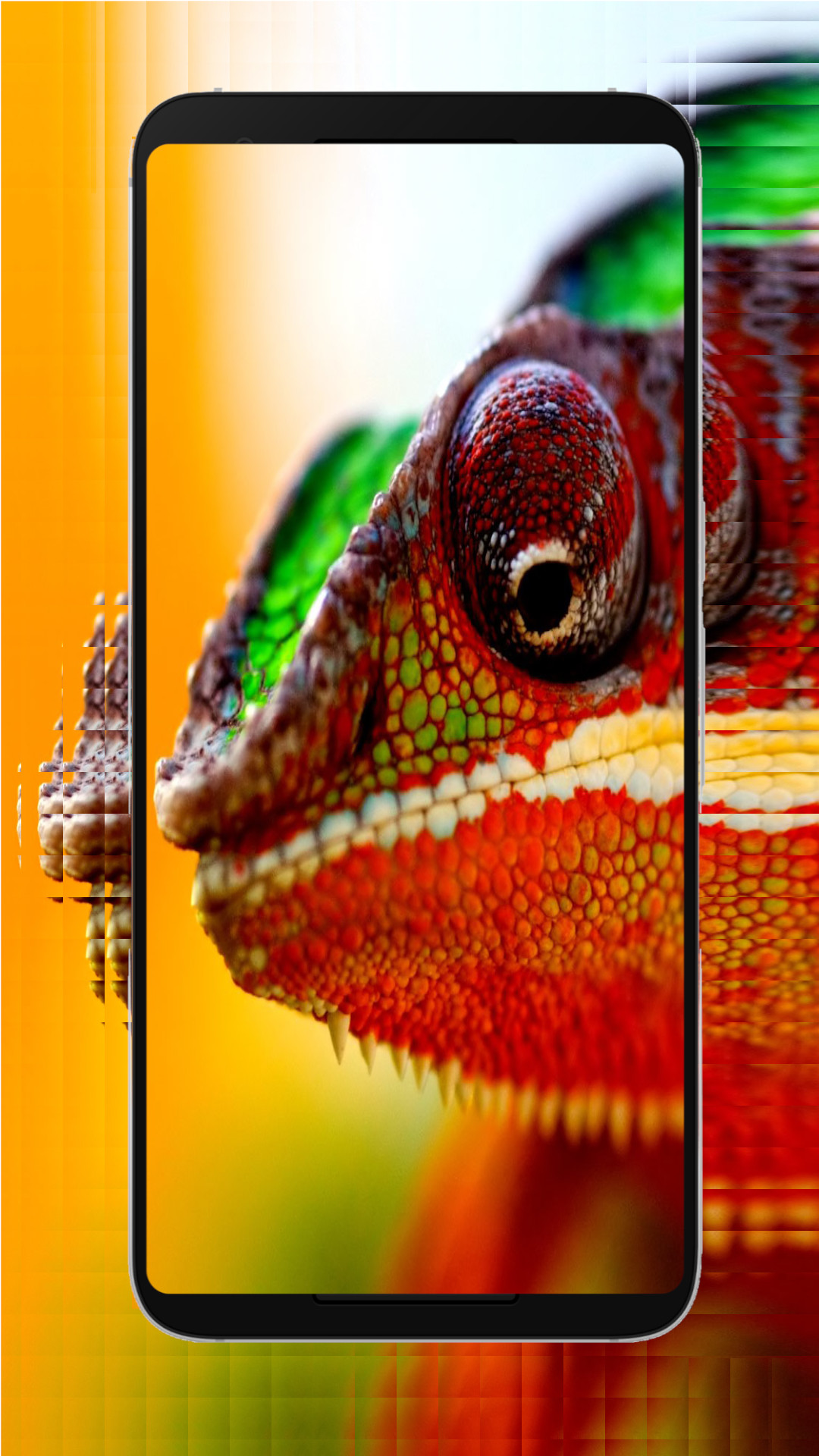 HD Wild Animal Wallpapers - App on Amazon Appstore