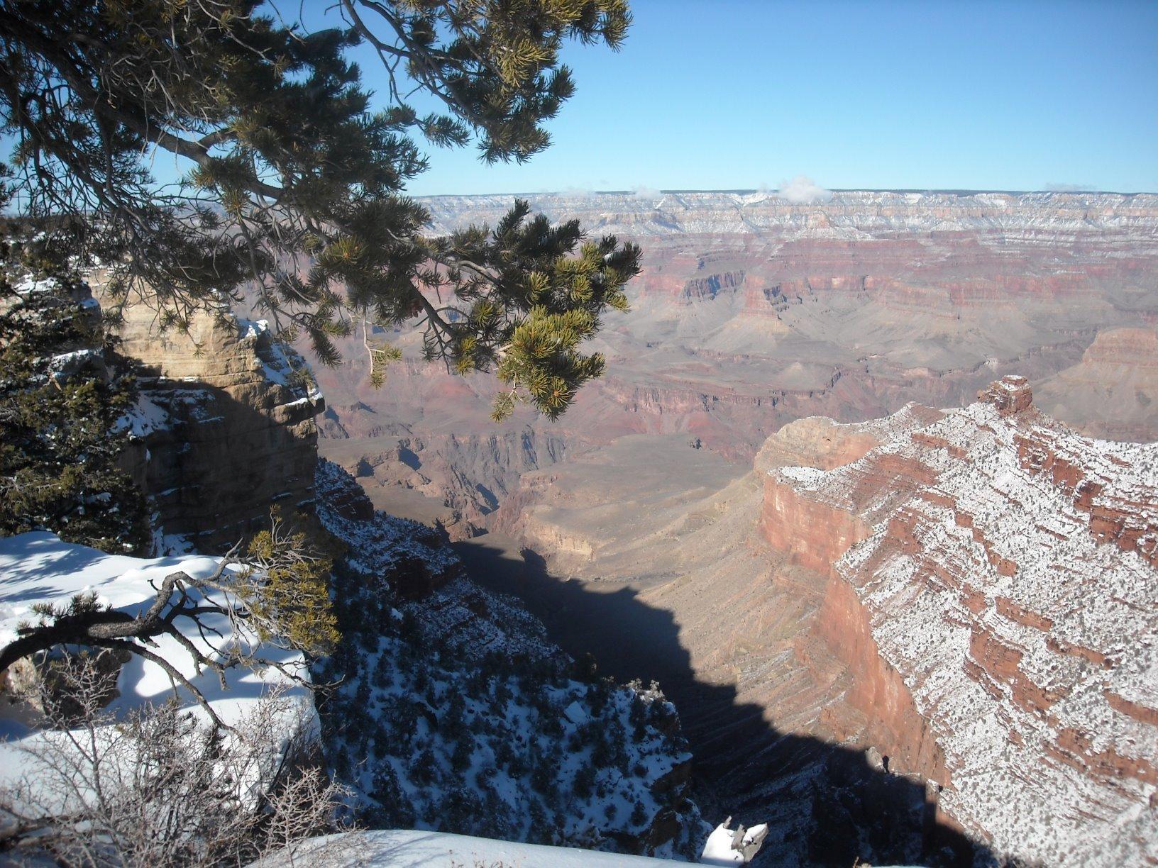 Amazon.com: Problem Child [DVD] : John Ritter, Jack Warden, Michael ...