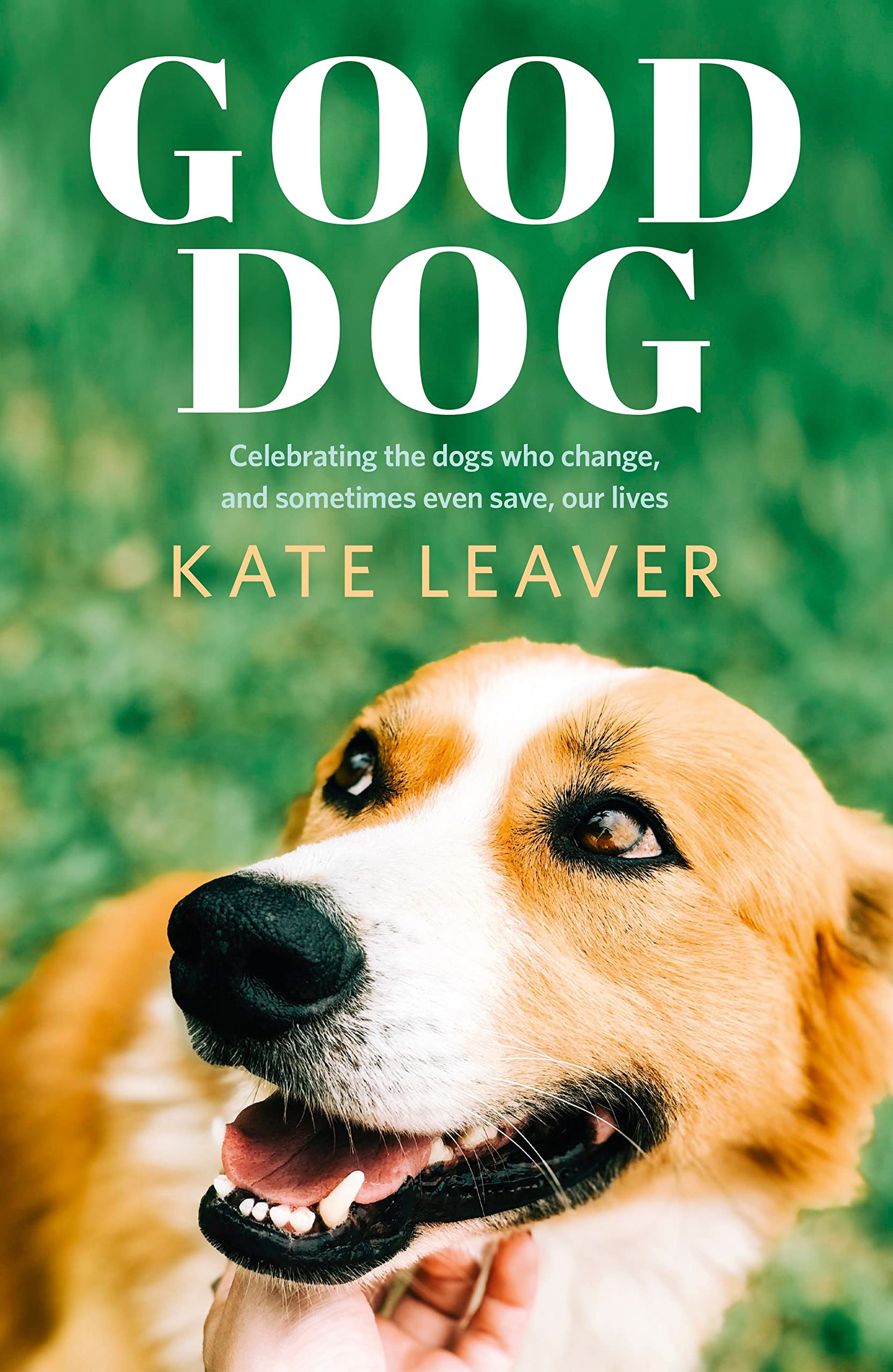Why We Should Save Dogs