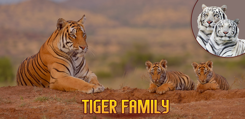Wild Tiger Family Simulator - Tiger Games - App on Amazon Appstore