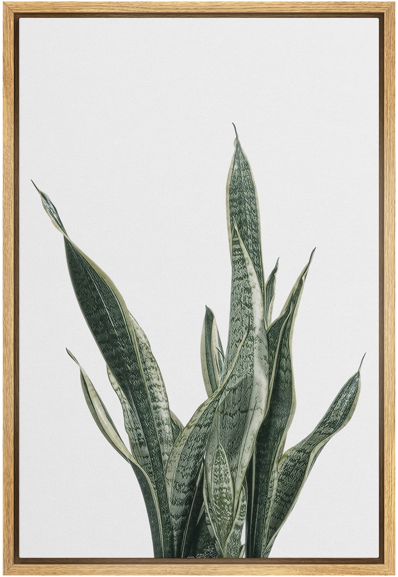 7 Best Oil Painting Spider Plant | 40” Wide Canvas for Bold Walls