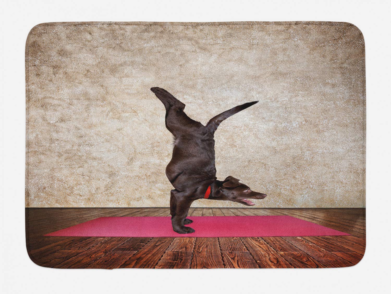 Sport Dogs Doing Handstand