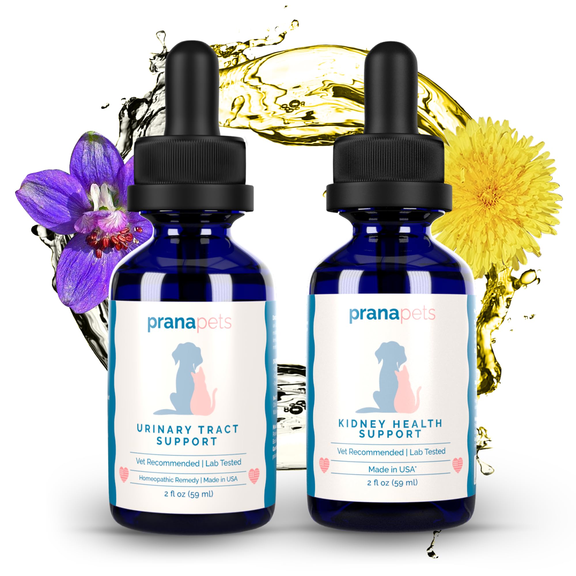 Amazon.com : Complete Bladder Pack Kidney Health Support Supplement for ...