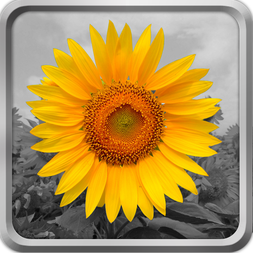 Color Effect - App on Amazon Appstore