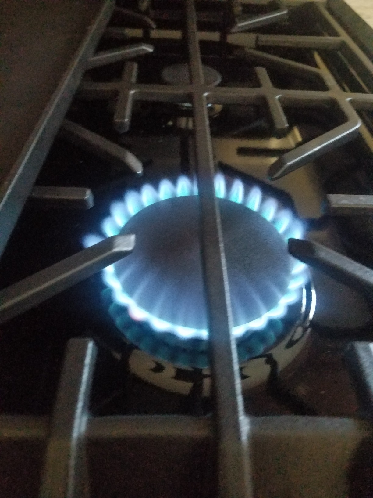 Amazon.com: GRLP4 Range LP Conversion Kit Genuine Original Equipment ...