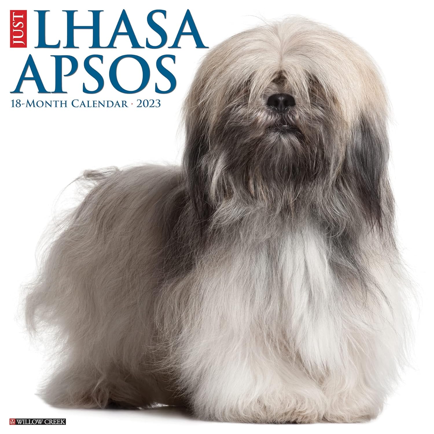 Just Lhasa Apsos 2023 Wall Calendar: Amazon.co.uk: Willow Creek Press ...