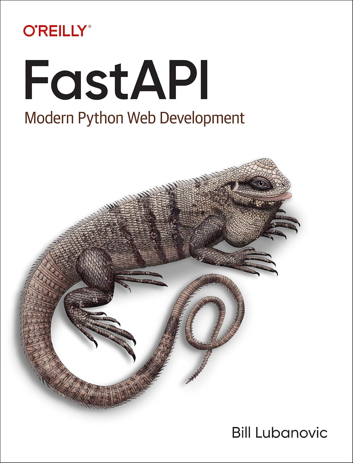 FastAPI: Modern Python Web Development: 9781098135508: Computer Science Books @ Amazon.com