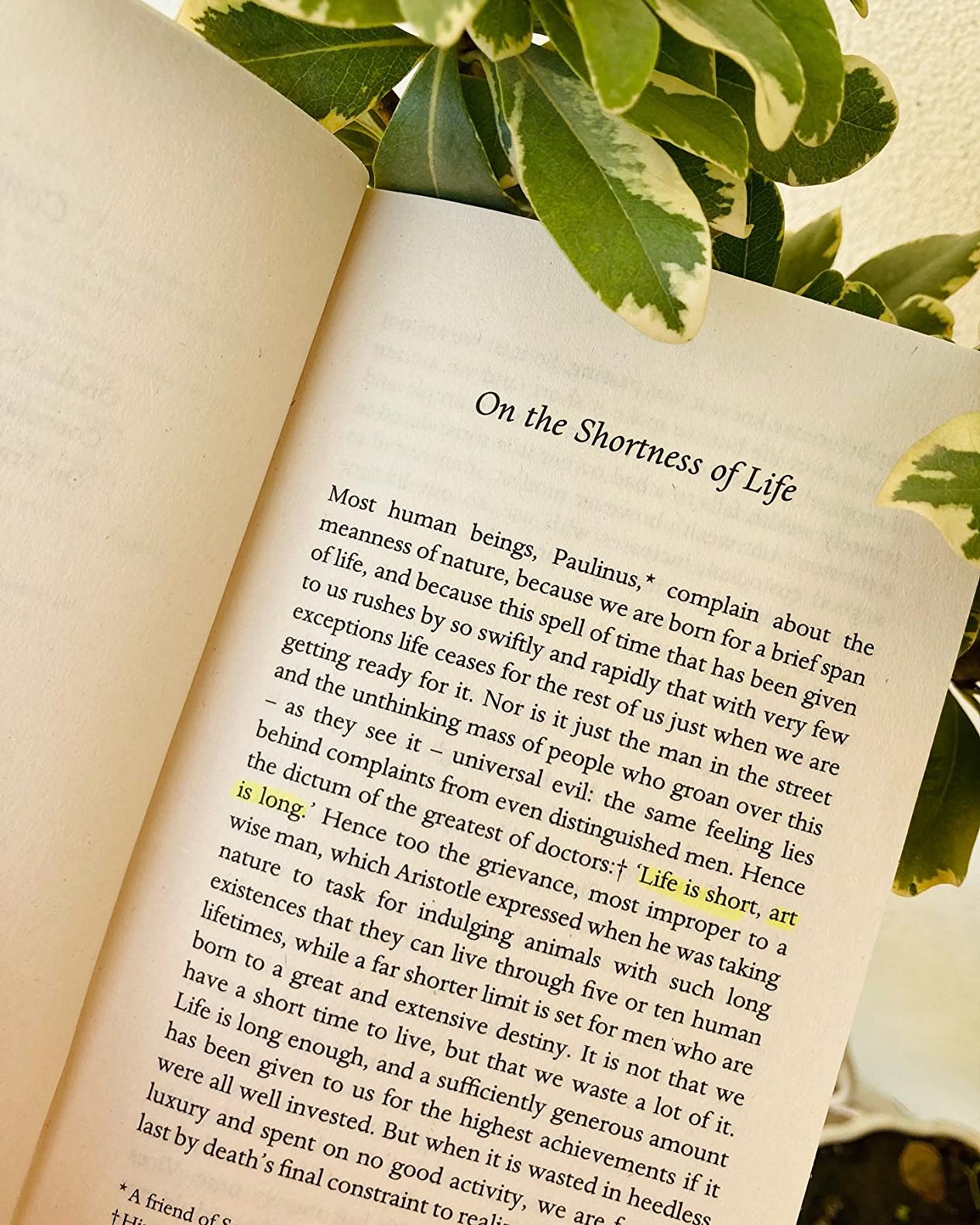 Buy On The Shortness Of Life Book Online at Low Prices in India | On ...