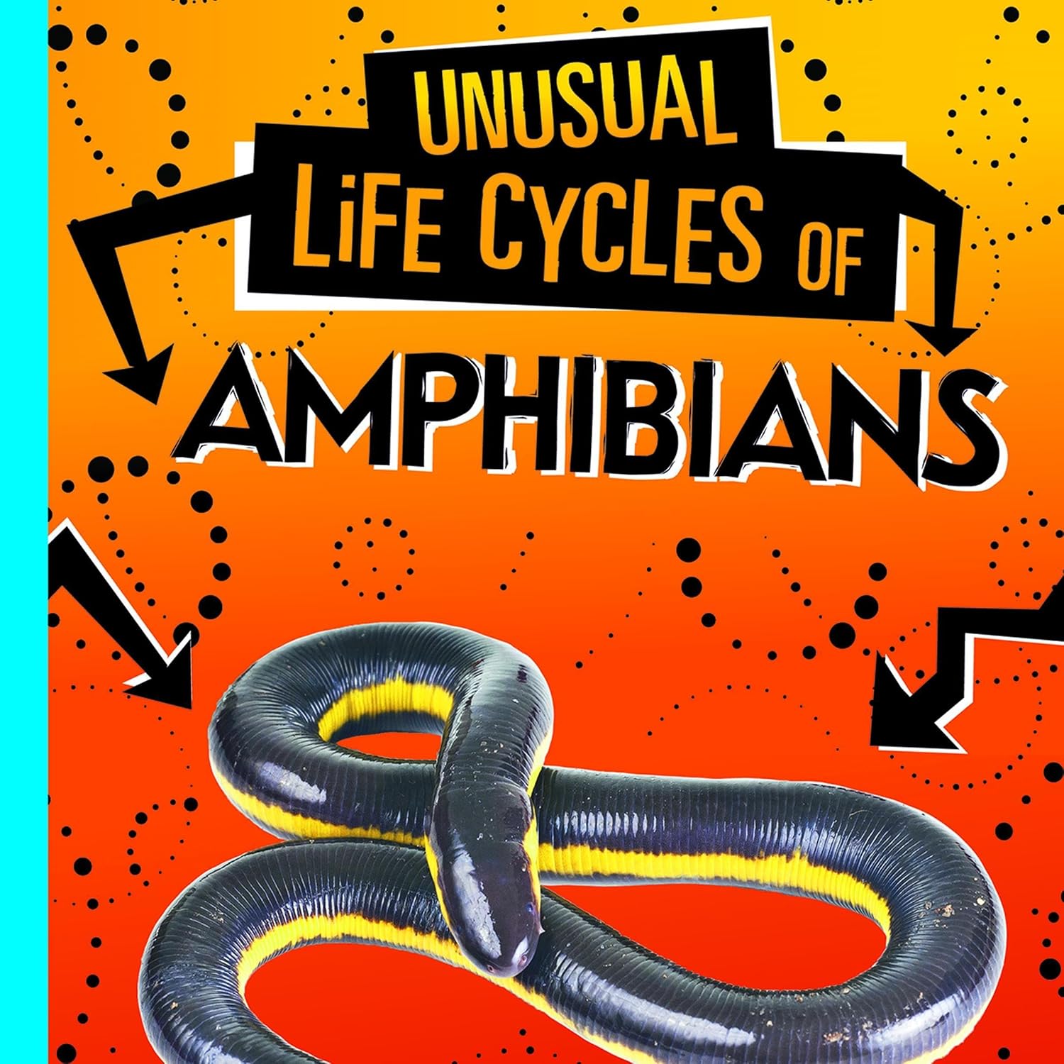 Amazon.com: Unusual Life Cycles of Amphibians: Unusual Life Cycles ...