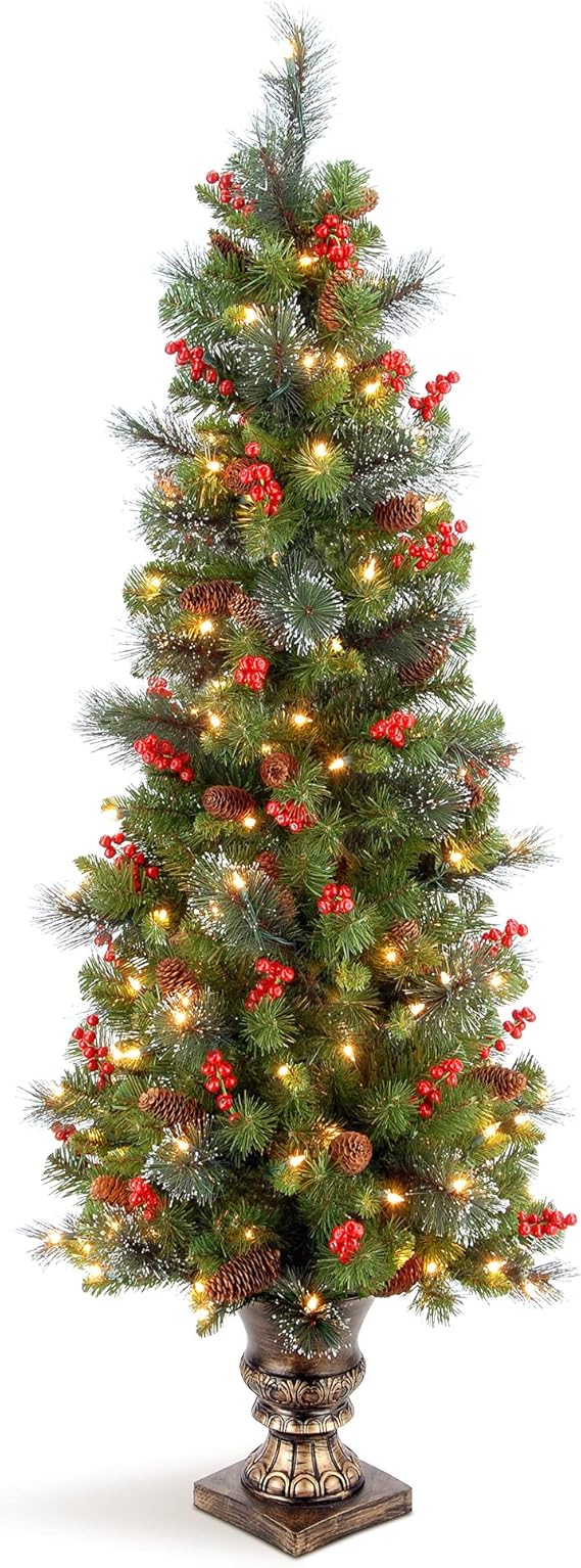 Amazon.com: National Tree Company Pre-Lit Artificial Entrance Christmas ...