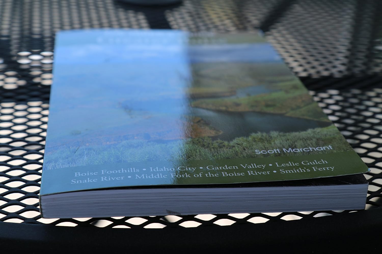 The Hiker's Guide: Greater Boise: Marchant, Scott: 9780982472446 ...