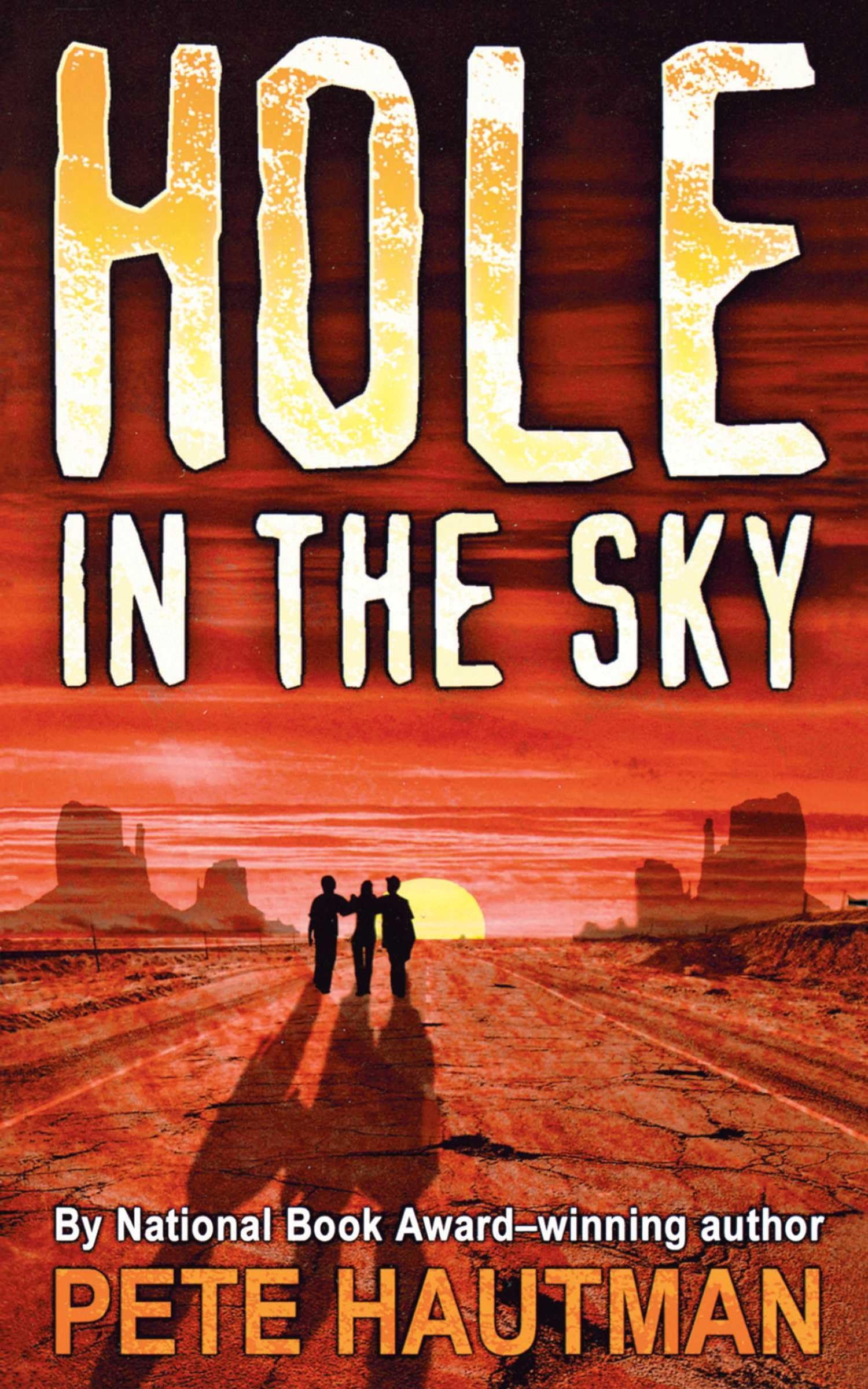 Amazon.com: Hole in the Sky: 9781416968221: Hautman, Pete: Books