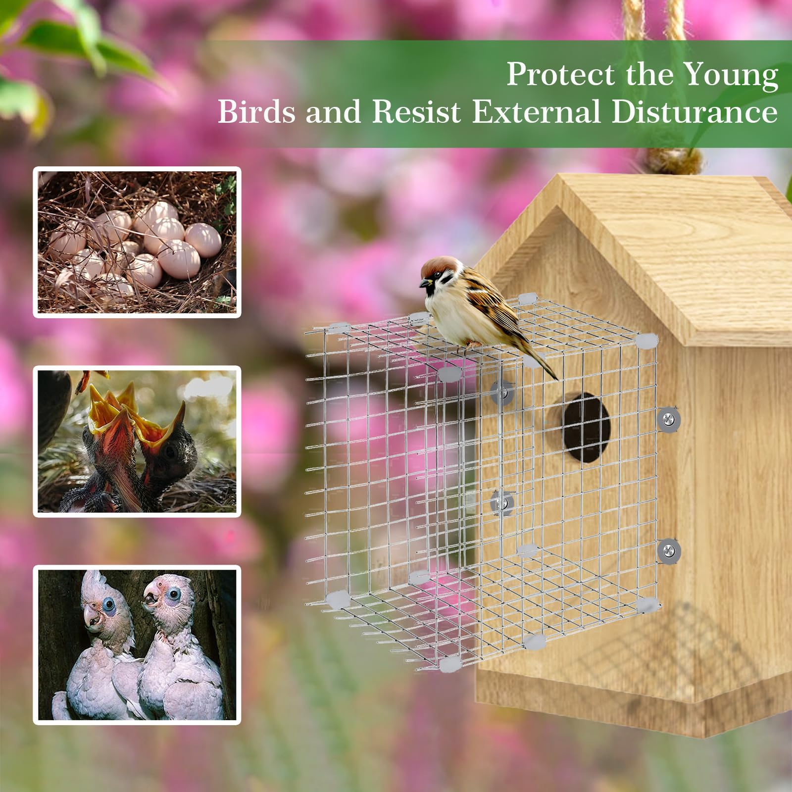 Snake Predator Guard Bluebird House