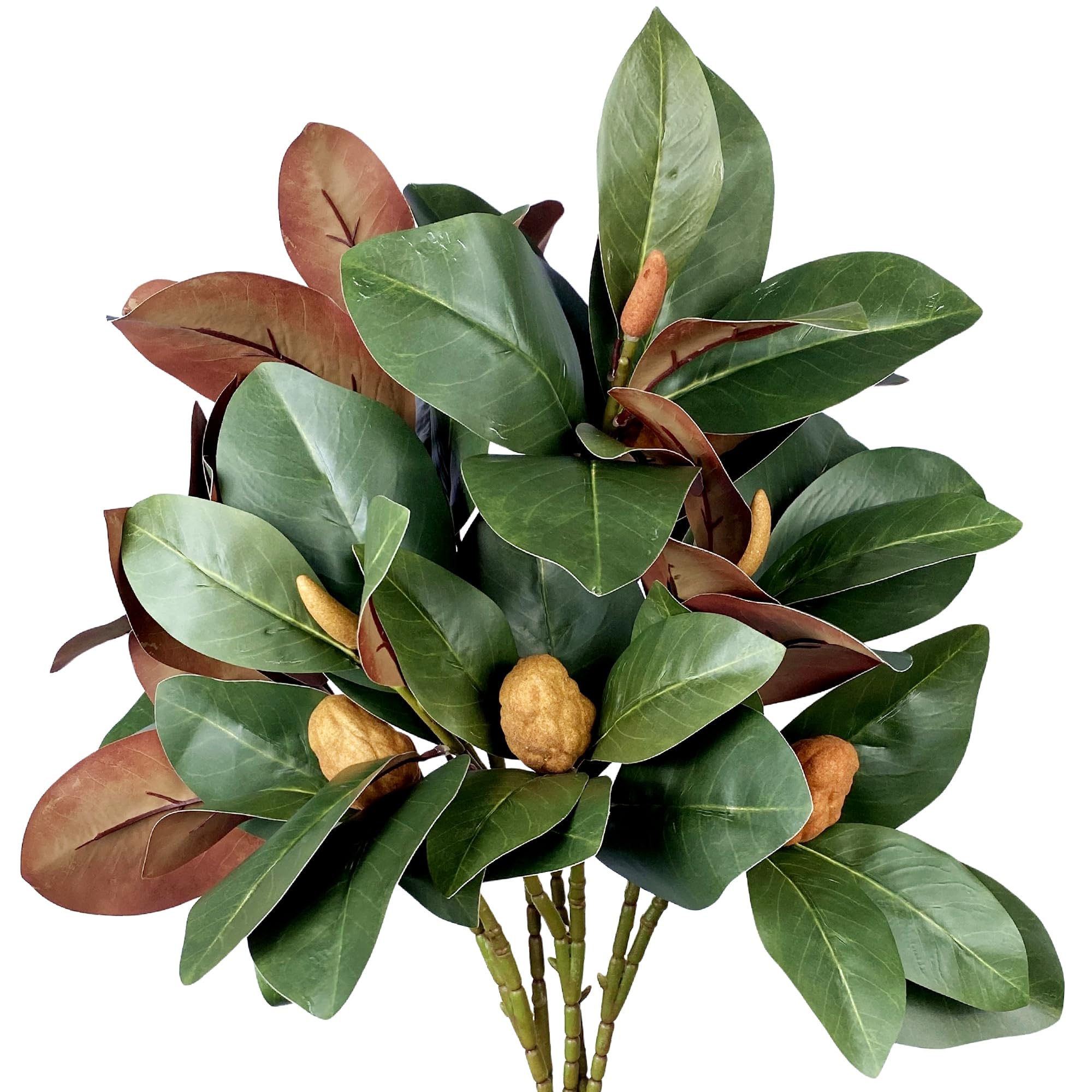 Amazon.com: Decolival Set of 4 Magnolia Branches 32 Inch Long ...