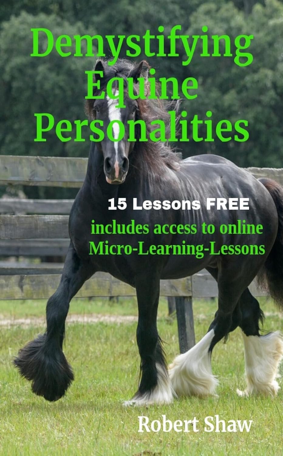 Amazon.com: Demystifying Horse Personalities: a whimsical journey into ...