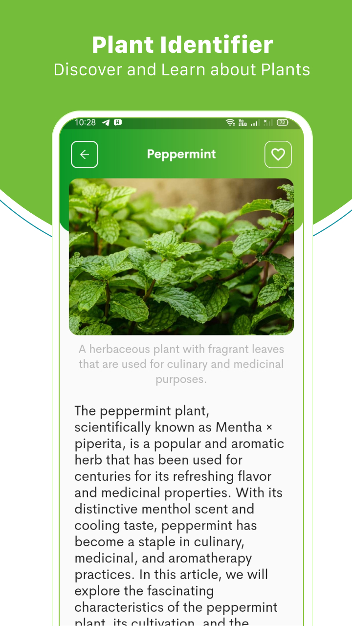 Plant Identifier - Discover and Learn about Plants - App on the Amazon ...