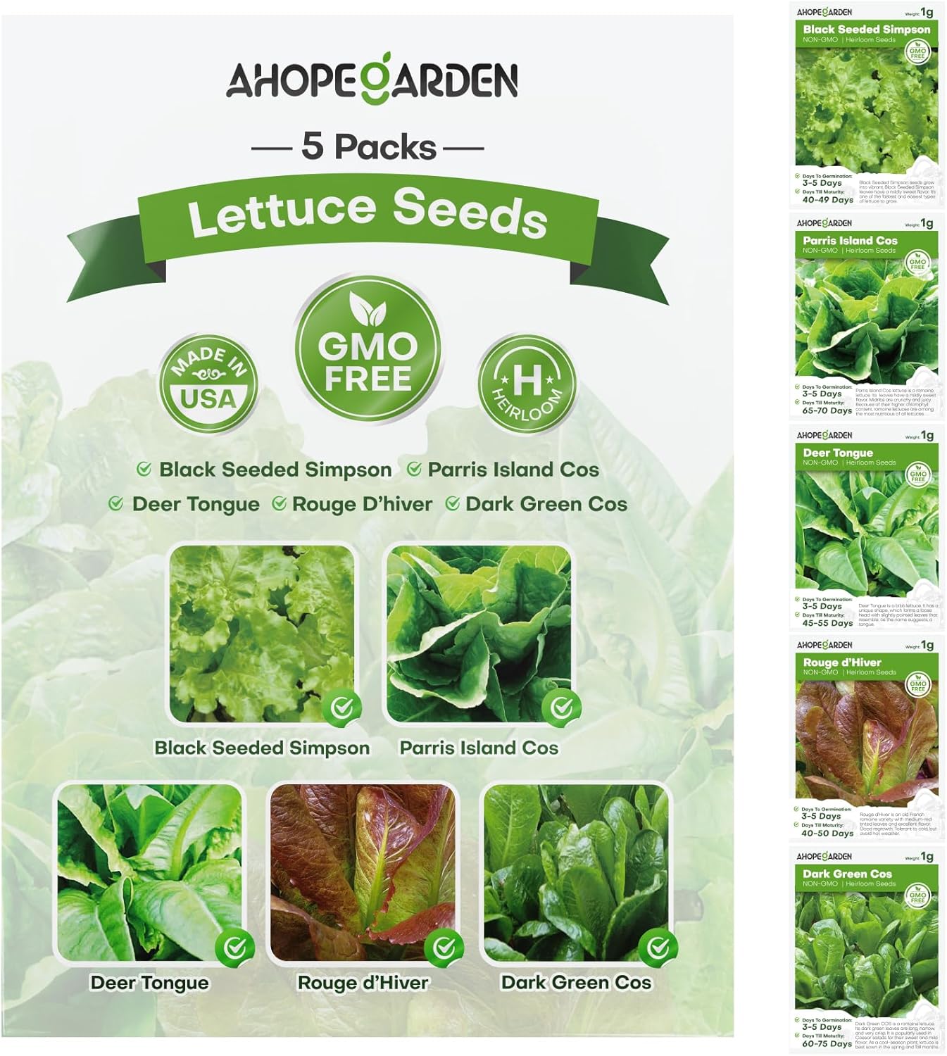 Amazon.com : Lettuce Non GMO, Including Rouge d'Hiver, Dark Green Cos ...