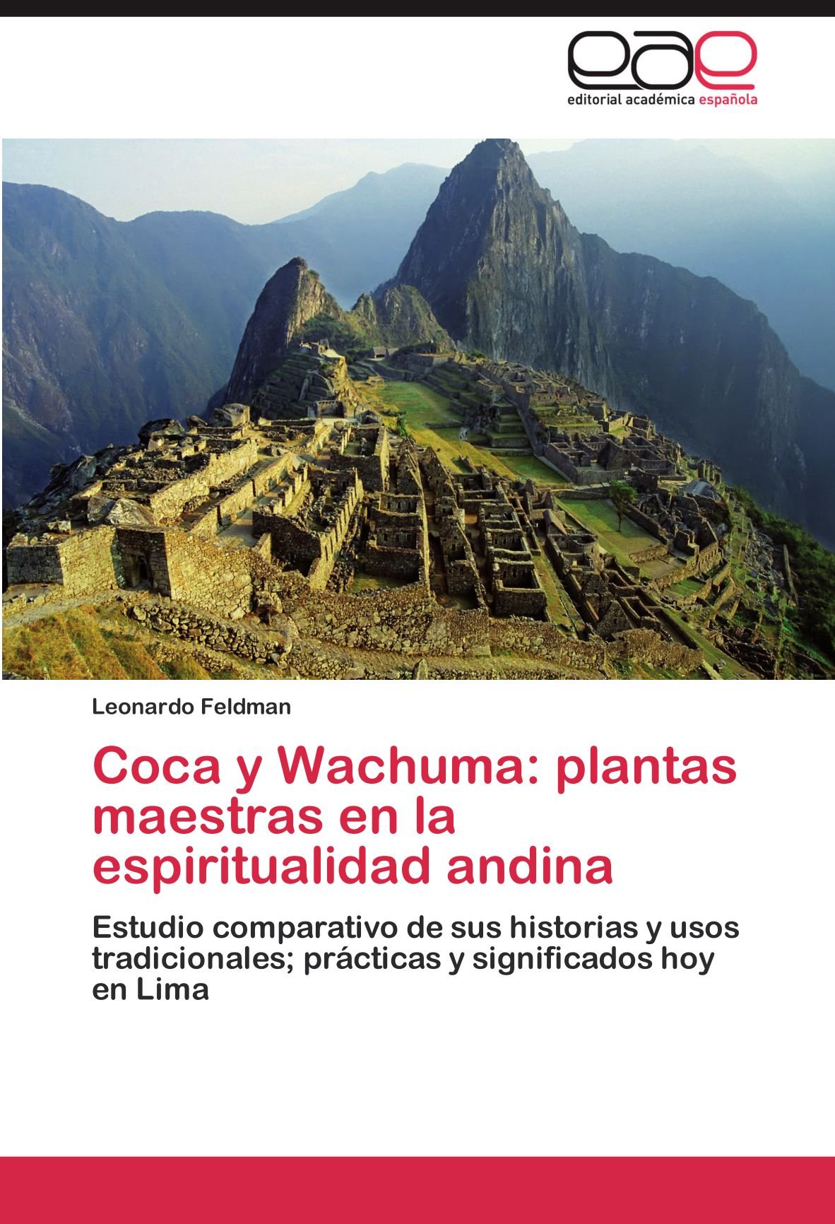 Buy Coca y Wachuma: as maestras en la espiritualidad andina: Estudio ...