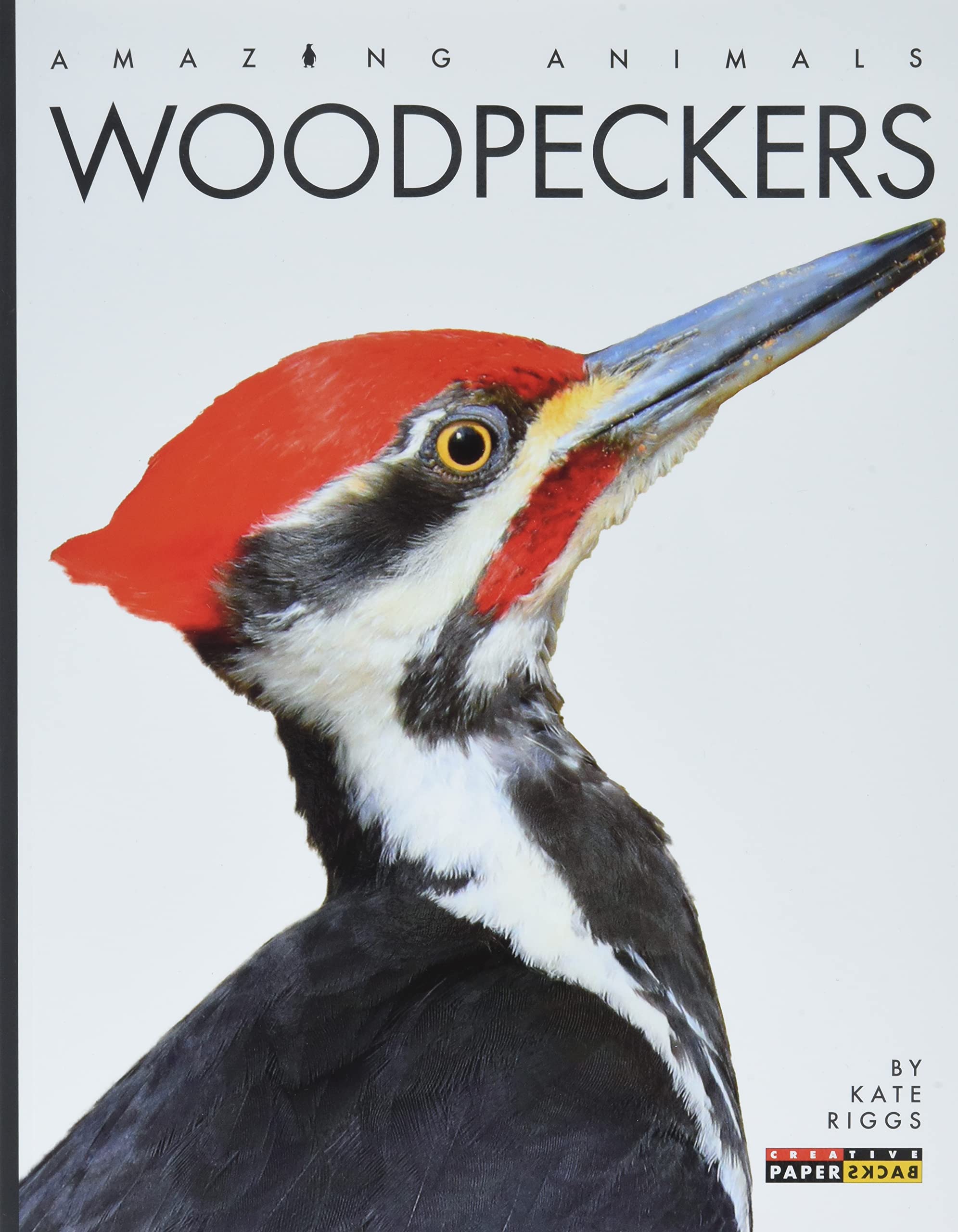 Woodpeckers (Amazing Animals): Riggs, Kate: 9781682770702: Amazon.com: Books