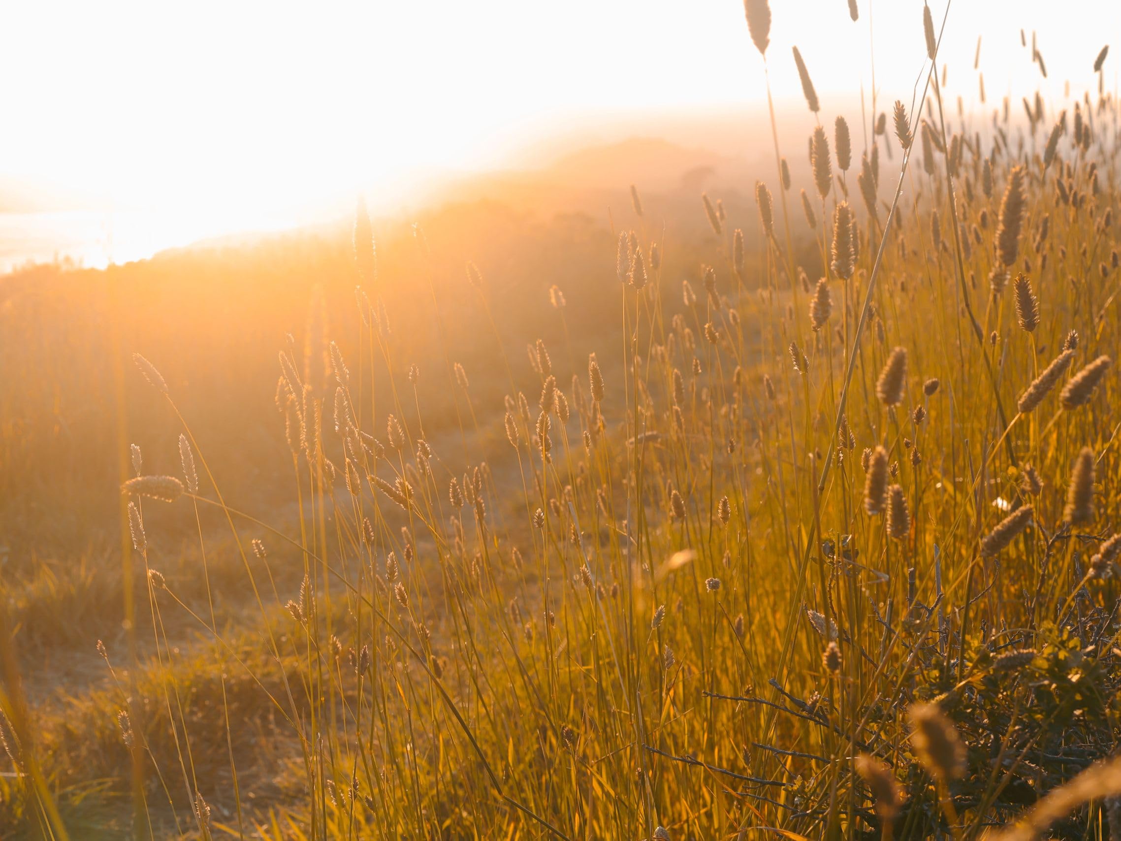 Autumn in Tuscany song by Tim Janis from Autumn in Tuscany on Amazon Music