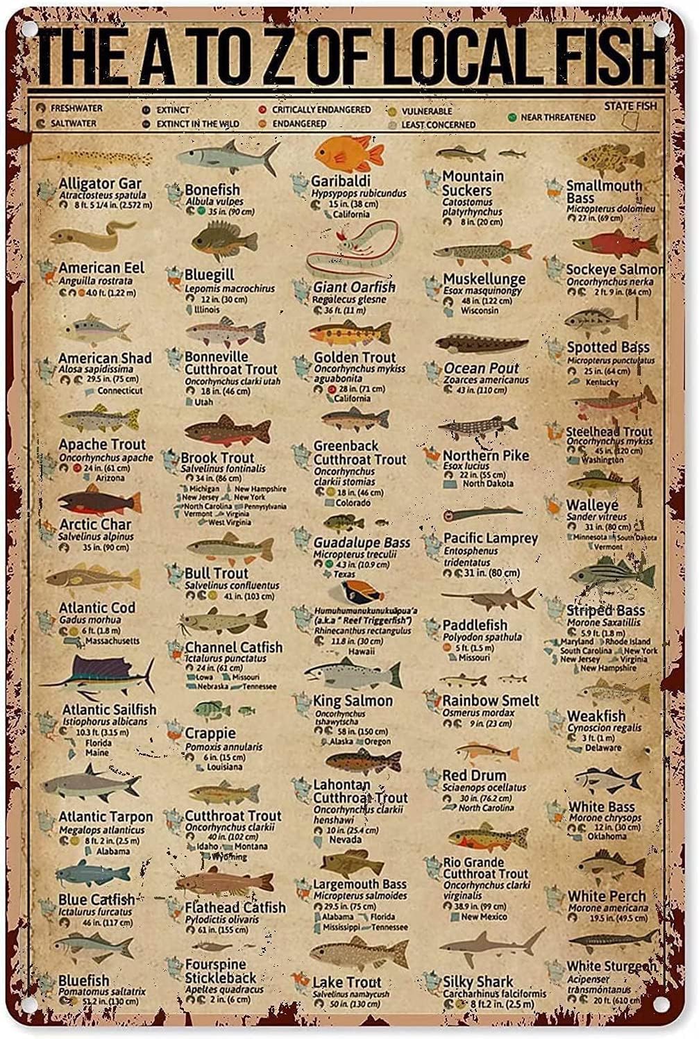 Amazon.com : Fish Knowledge Metal Sign Vintage Farm Decor Local Fish ...
