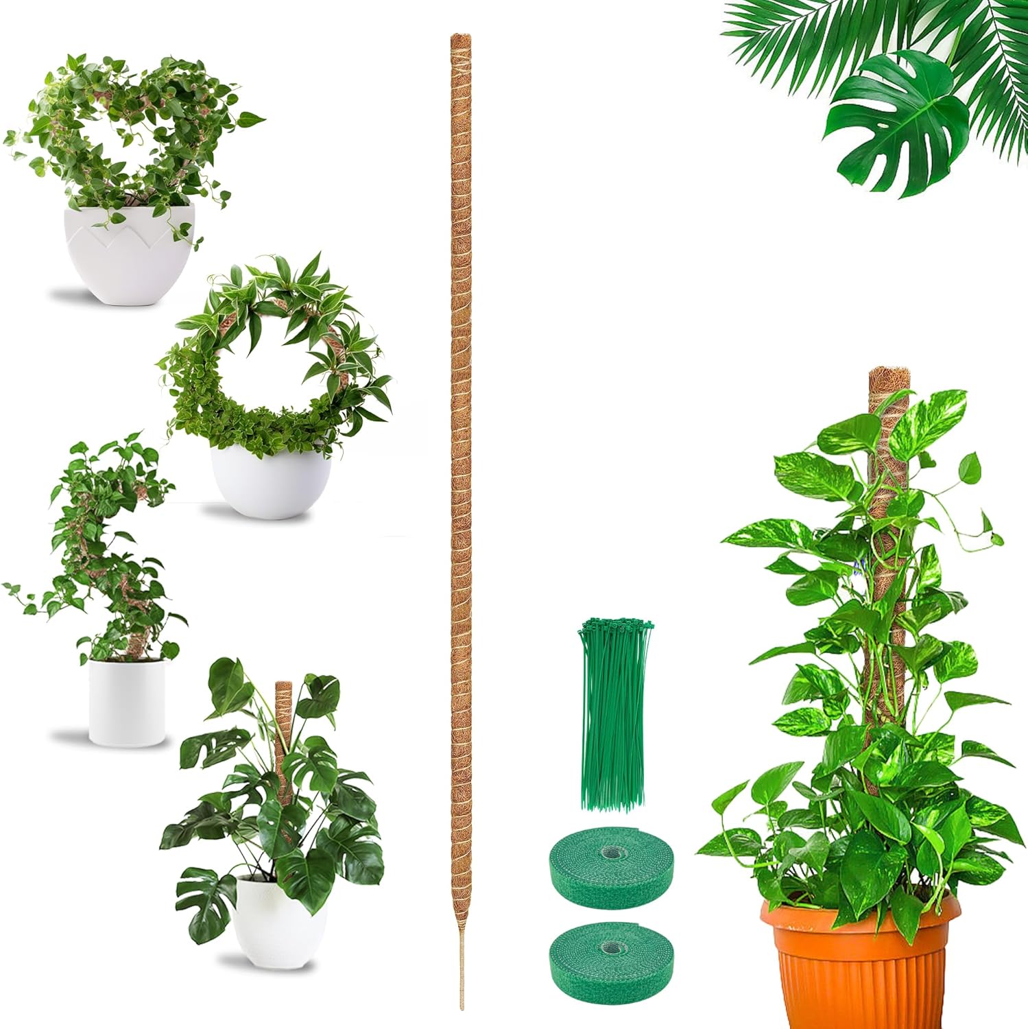 COZCLAM Moss Pole, 1Pcs 63'' Moss Pole for Monstera, Bendable Cheese ...