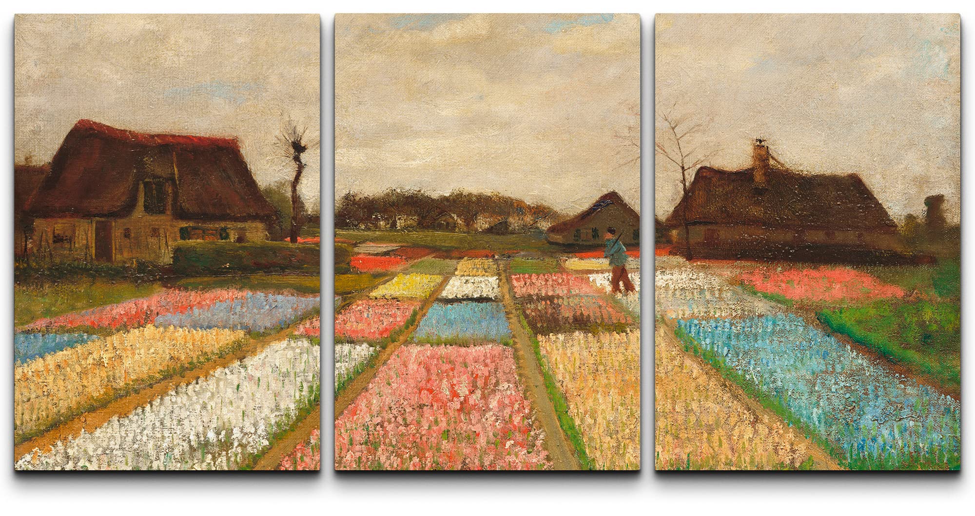 Bulb Fields Vincent Van Gogh