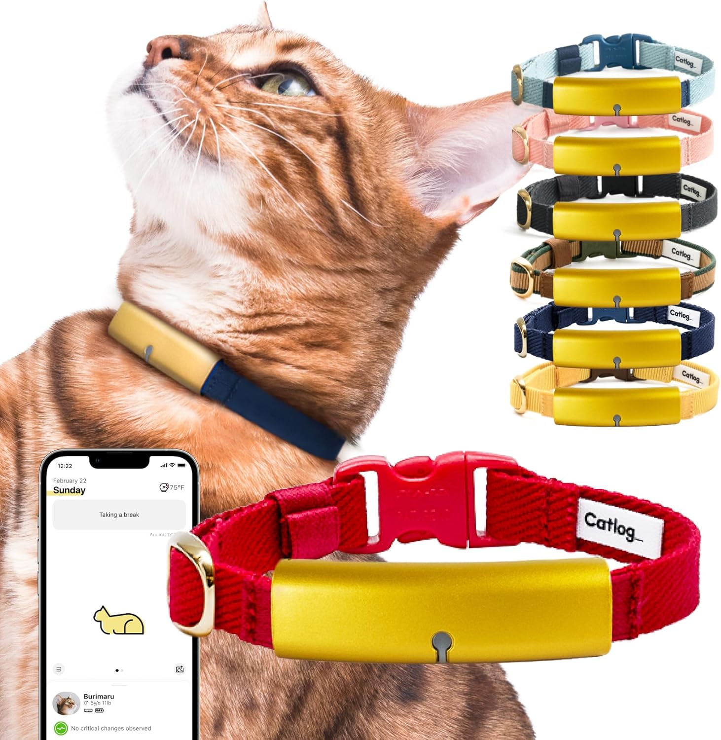 Amazon.com: Catlog Health Tracker for Cats - Smart Cat Collar with ...