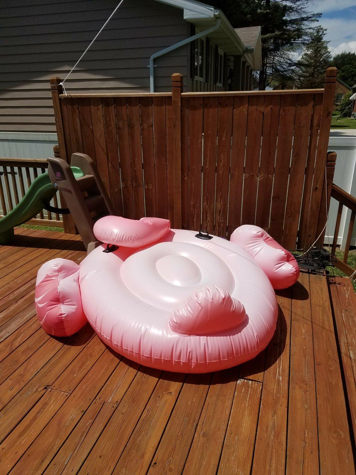 Amazon.com: Intex Giant Inflatable Ride-On 86 Inch Mega Flamingo Island ...