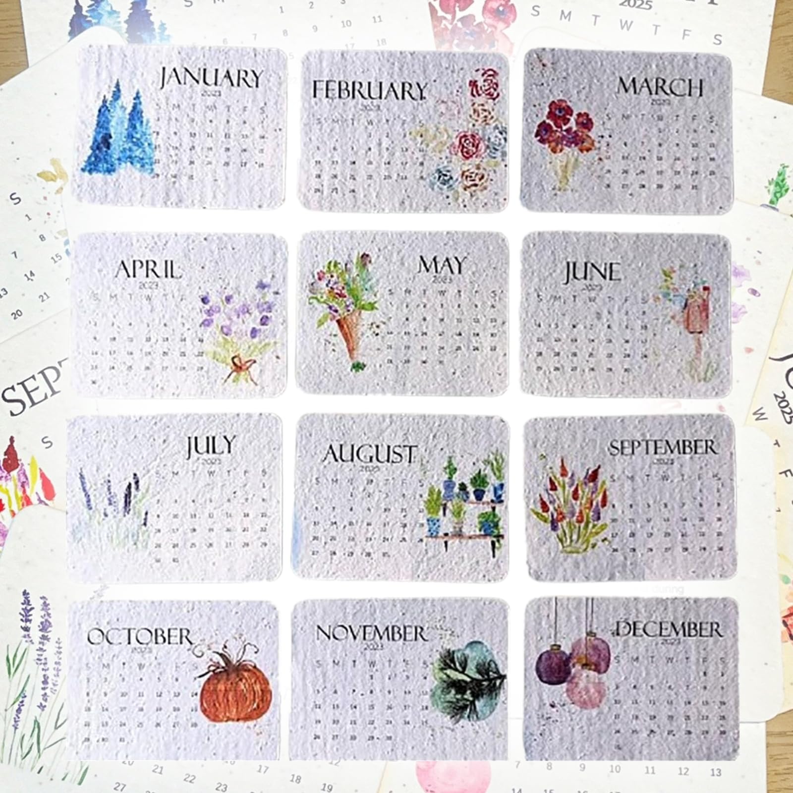 Buy able Seed 2025, Seed From January 2025 to December 2025, Modern ...