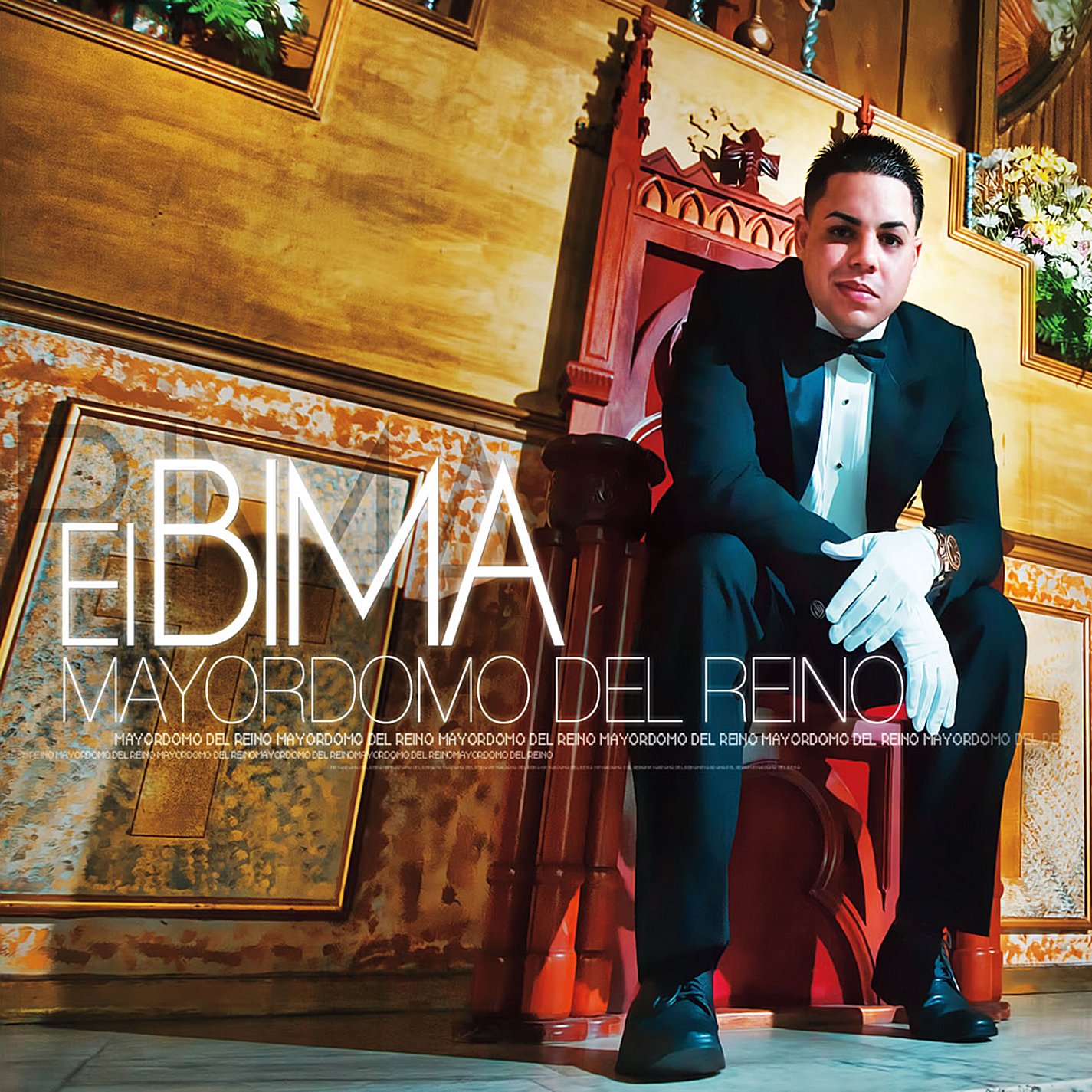 Amazon.com: Mayordomo Del Reino: 0884501963602: El Bima: Books