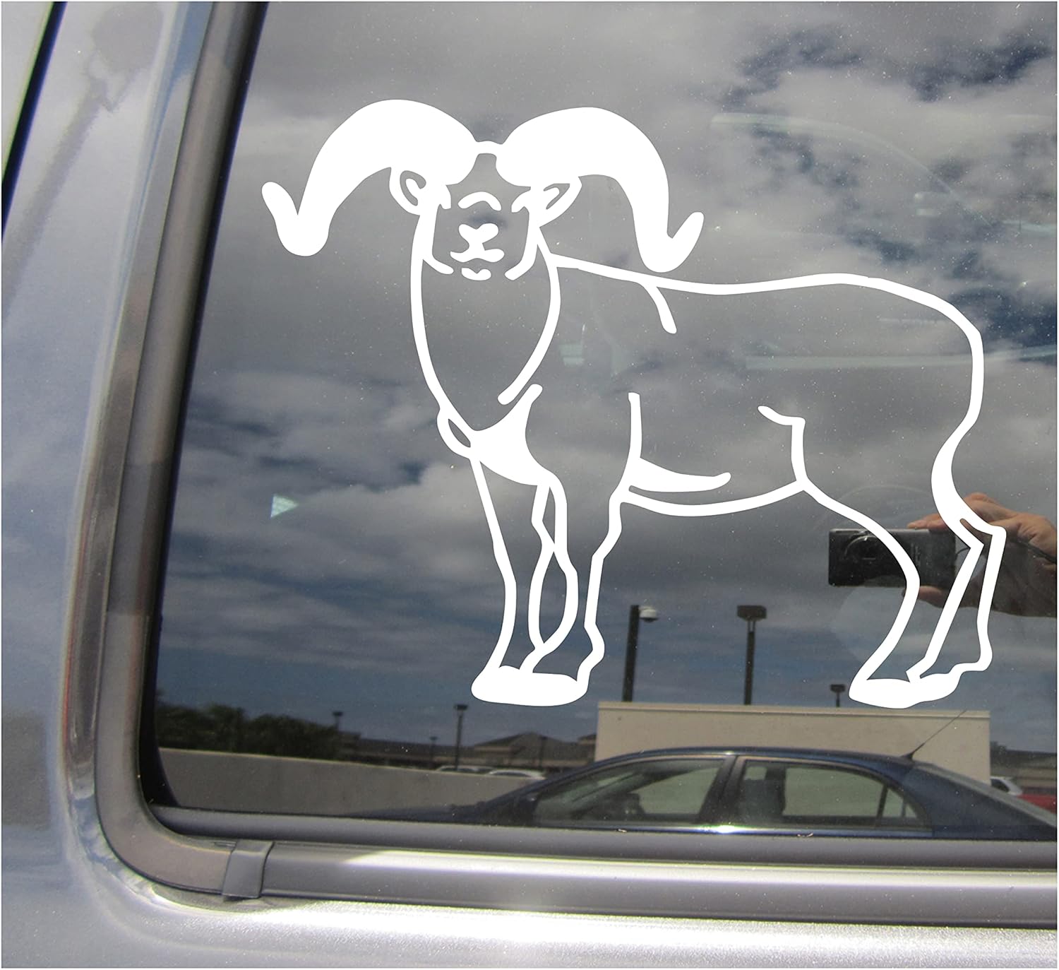 Amazon.com: Dall Sheep - Bighorn Big Horn Hunter Hunting Car Truck Van ...