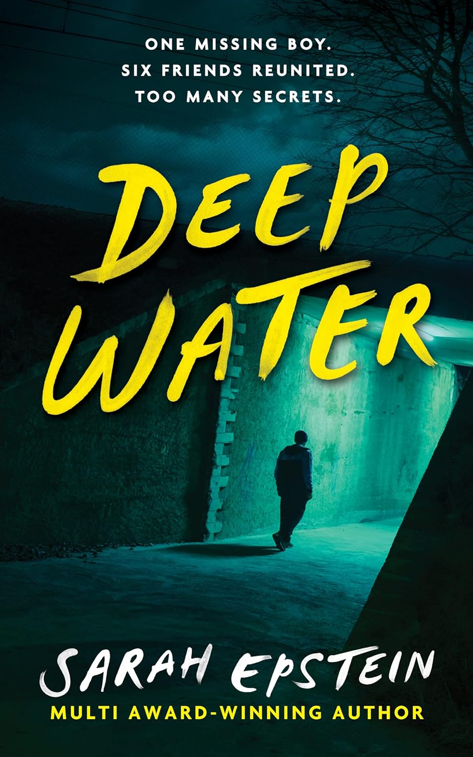 Amazon.com: Deep Water eBook : Epstein, Sarah: Kindle Store